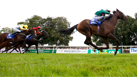 Racing UK to show Breeders’ Cup live and in HD