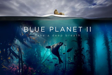 Blue Planet II goes UHD and HDR on BBC iPlayer