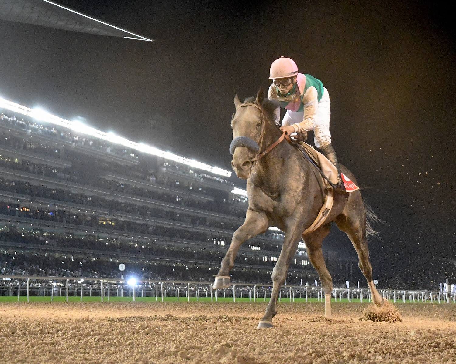 Dubai World Cup fixture enjoys global exposure and world-class TV ...