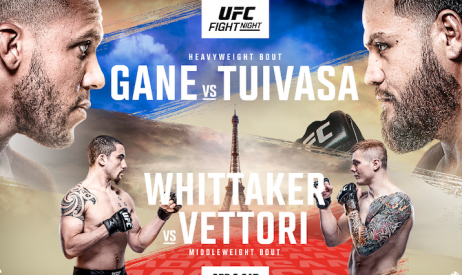 First UFC event in France delivers €33.4 million in economic impact for ...